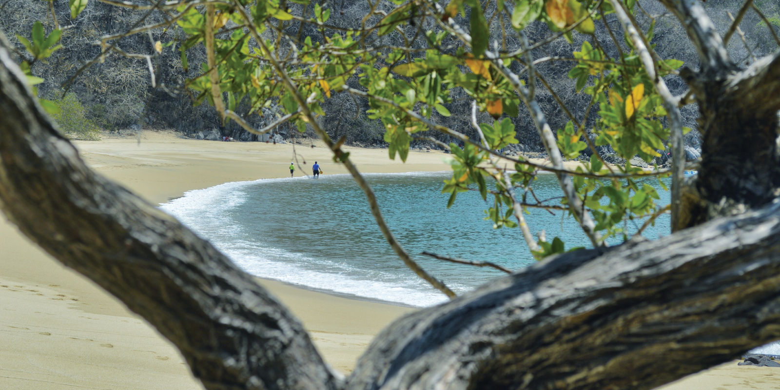 La costa de Oaxaca y sus sitios para la meditación - Revista Socialmente